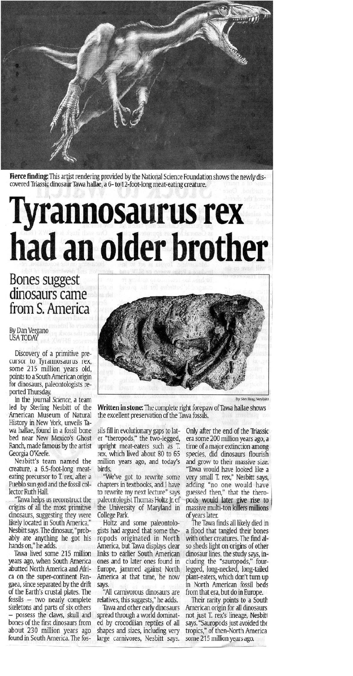 Dinosaur Wiki:Dino News Archives/2 | Dinosaur Wiki | Fandom