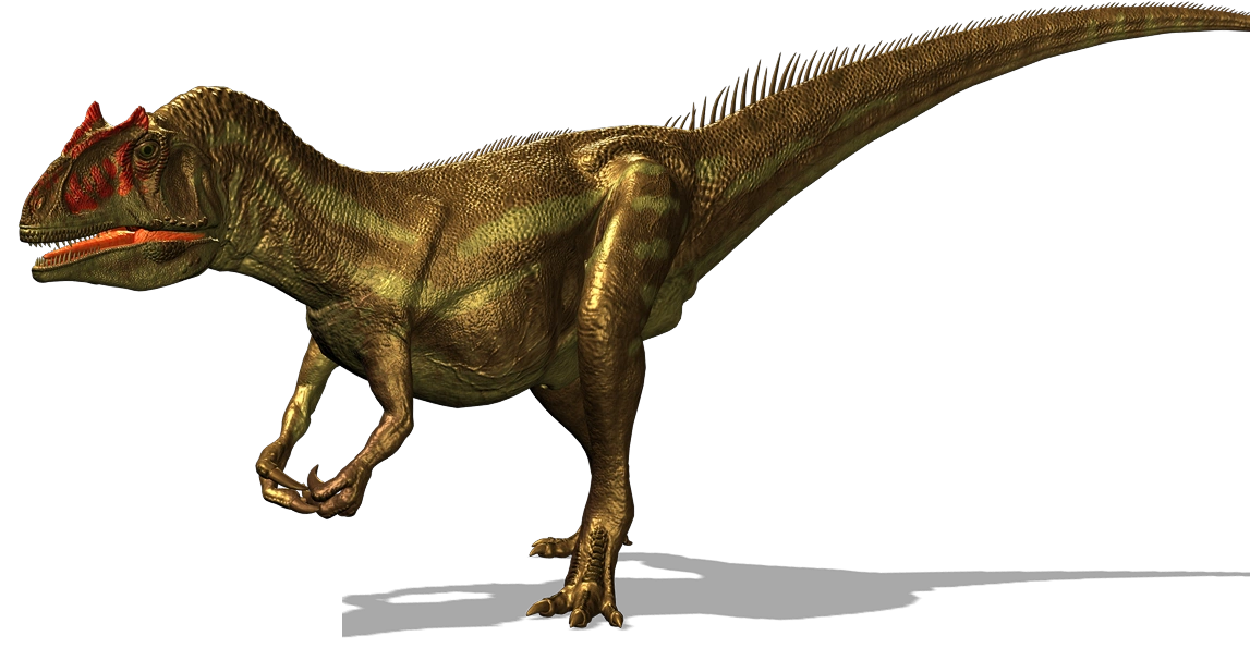 Allosaurus/Gallery | Dinosaur Wiki | Fandom