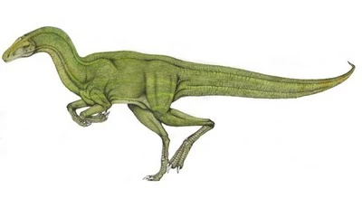 Velocisaurus | Wiki Dino | Fandom