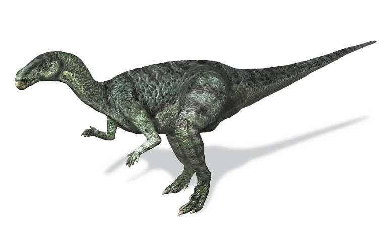 Camptosaurus | Wiki Prehistoria | Fandom