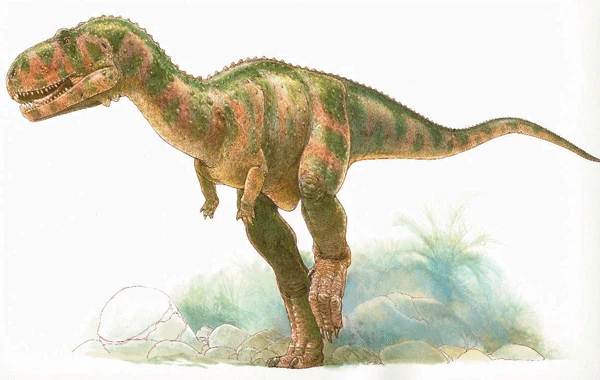 Abelisaurus | Wiki Prehistoria | Fandom