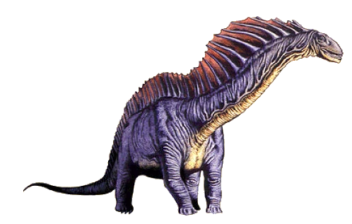 Amargasaurus | Wiki Dinoargentino | Fandom