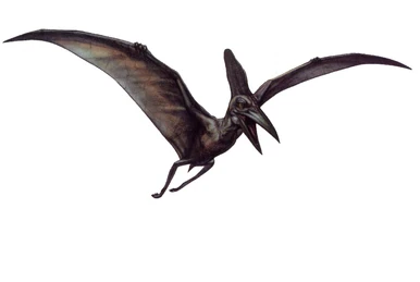 Walking With Dinosaurs Pteranodon Two Tyrannosaurus Rex Dinosaurs