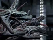 Rigel | Dino Crisis Wiki | Fandom