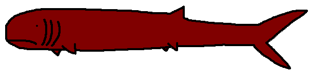 Orodus | Dinocyclopedia Wiki | Fandom