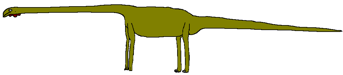 Barosaurus | Dinocyclopedia Wiki | Fandom