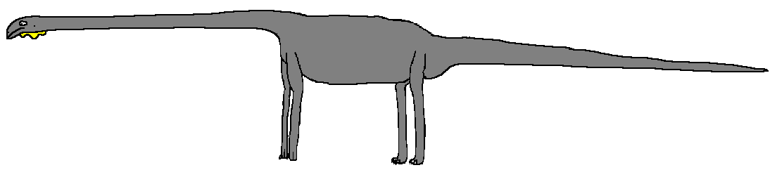 Diplodocus | Dinocyclopedia Wiki | Fandom