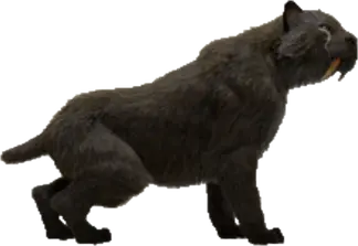 Esmilodon | Wiki Dino Dan | Fandom