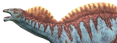 Amargasaurus | DinoPedia - The Dino Dan Wiki | Fandom