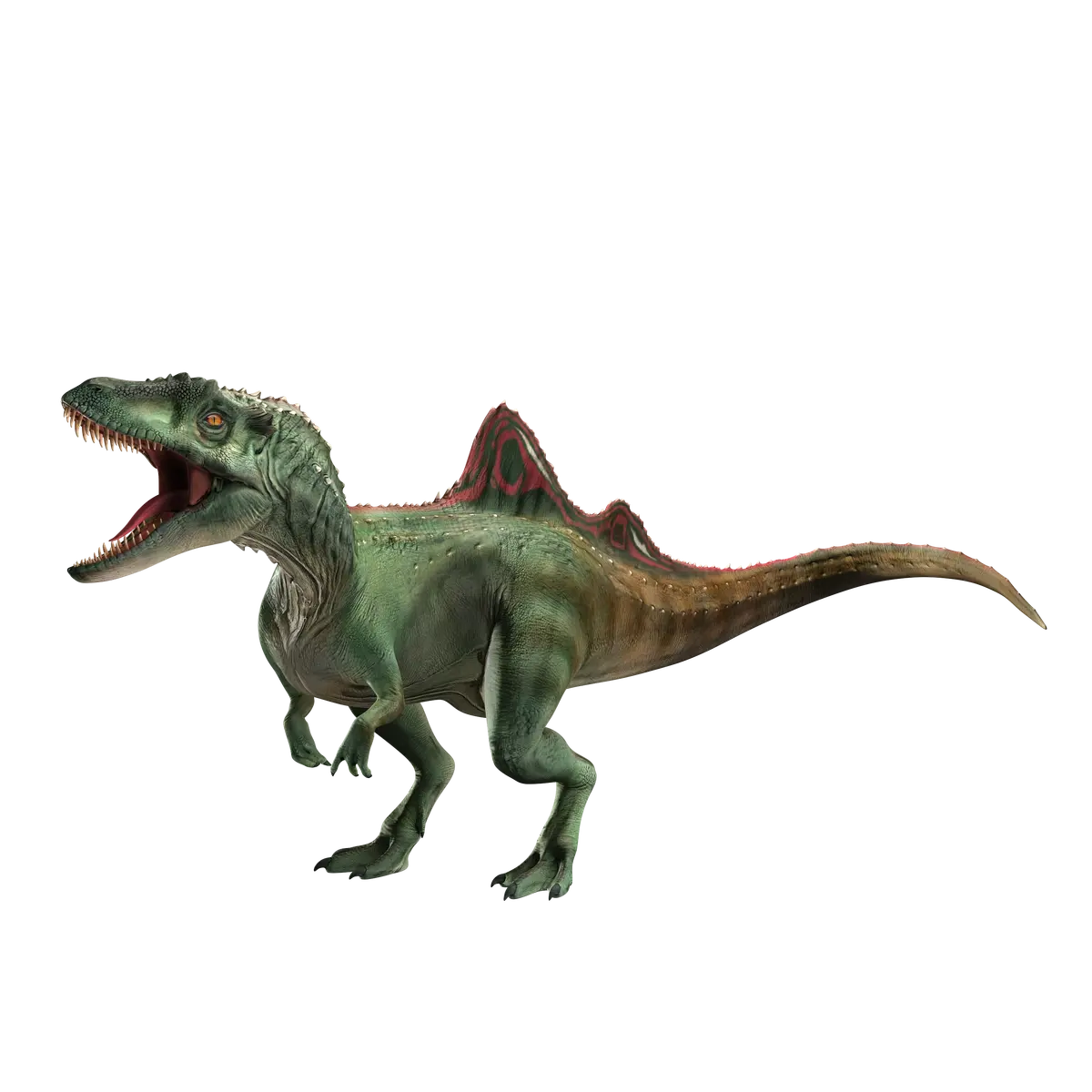 Concavenator | DinoPedia - The Dino Dan Wiki | Fandom