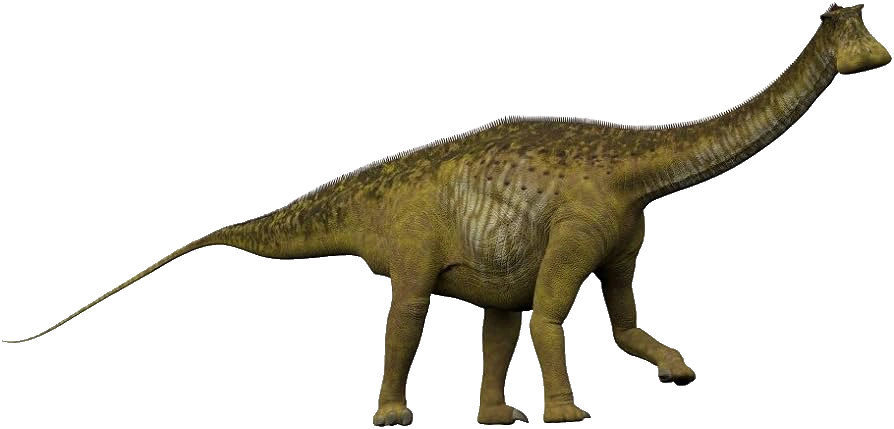 Nigersaurus | DinoPedia - The Dino Dan Wiki | Fandom