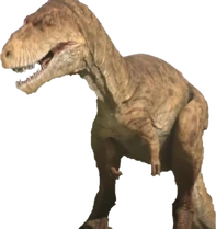 Allosaurus | DinoPedia - The Dino Dan Wiki | Fandom