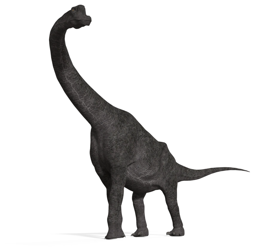 Ultrasaurus | DinoPedia - The Dino Dan Wiki | Fandom