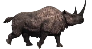 Woolly Rhinoceros | DinoPedia - The Dino Dan Wiki | Fandom
