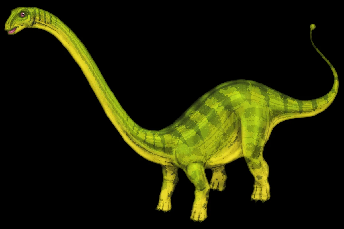 Omeisaurus | DinoPedia - The Dino Dan Wiki | Fandom