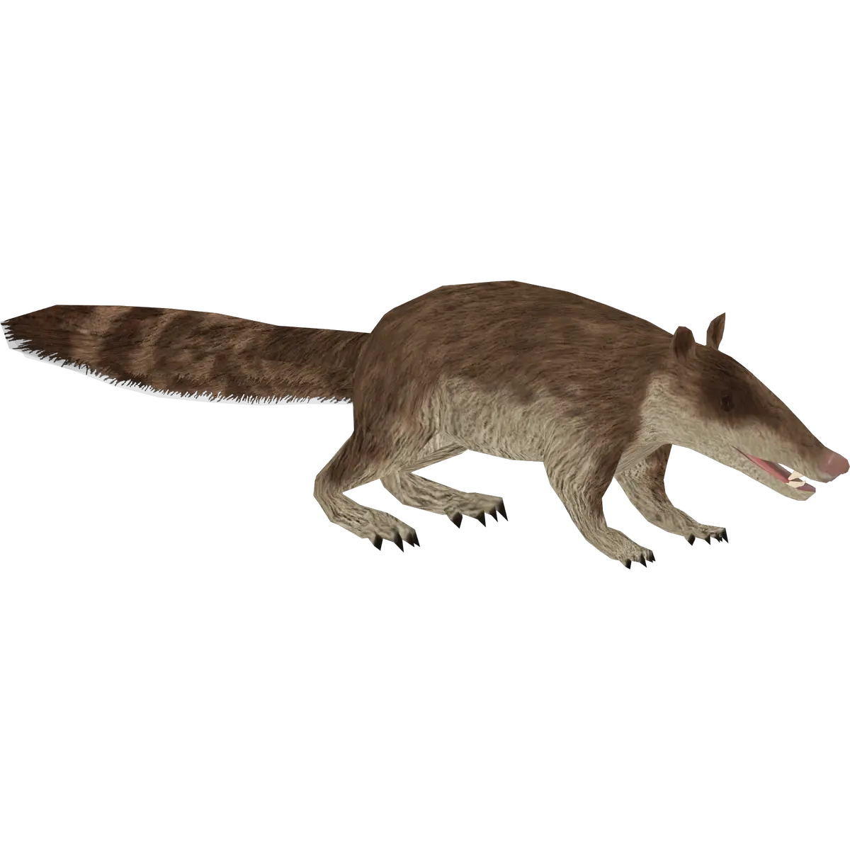 Cronopio | DinoPedia - The Dino Dan Wiki | Fandom