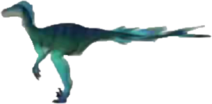 Velociraptor | DinoPedia - The Dino Dan Wiki | Fandom