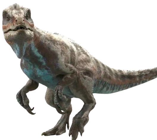 Megaraptor | DinoPedia - The Dino Dan Wiki | Fandom