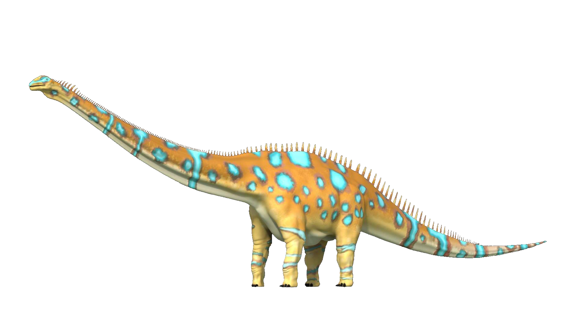 Dino Diplodocus