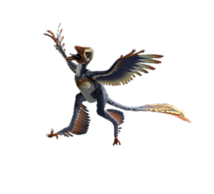 Microraptor | DinoPedia - The Dino Dan Wiki | Fandom