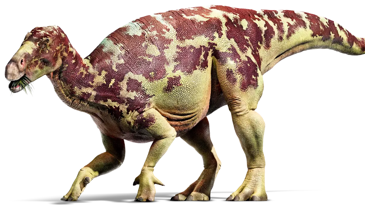 Iguanodon | DinoPedia - The Dino Dan Wiki | Fandom