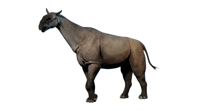 Paraceratherium | DinoPedia - The Dino Dan Wiki | Fandom