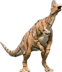 Corythosaurus | DinoPedia - The Dino Dan Wiki | Fandom