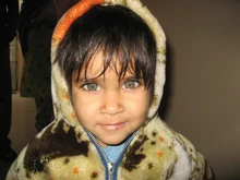 Dan Gerson | DinoPedia - The Dino Dan Wiki | Fandom