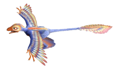 Microraptor | DinoPedia - The Dino Dan Wiki | Fandom