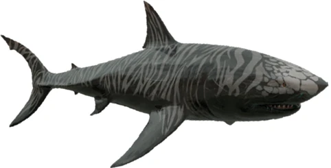 Megalodon | DinoPedia - The Dino Dan Wiki | Fandom