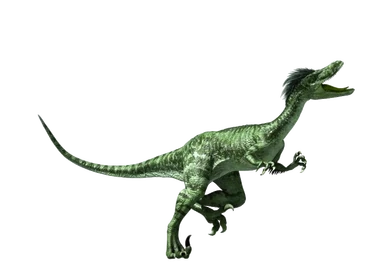 Velociraptor | DinoPedia - The Dino Dan Wiki | Fandom