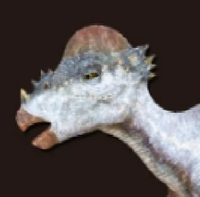 Pachycephalosaurus | DinoPedia - The Dino Dan Wiki | Fandom