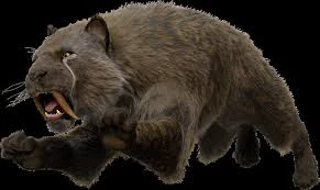 Smilodon | DinoPedia - The Dino Dan Wiki | Fandom