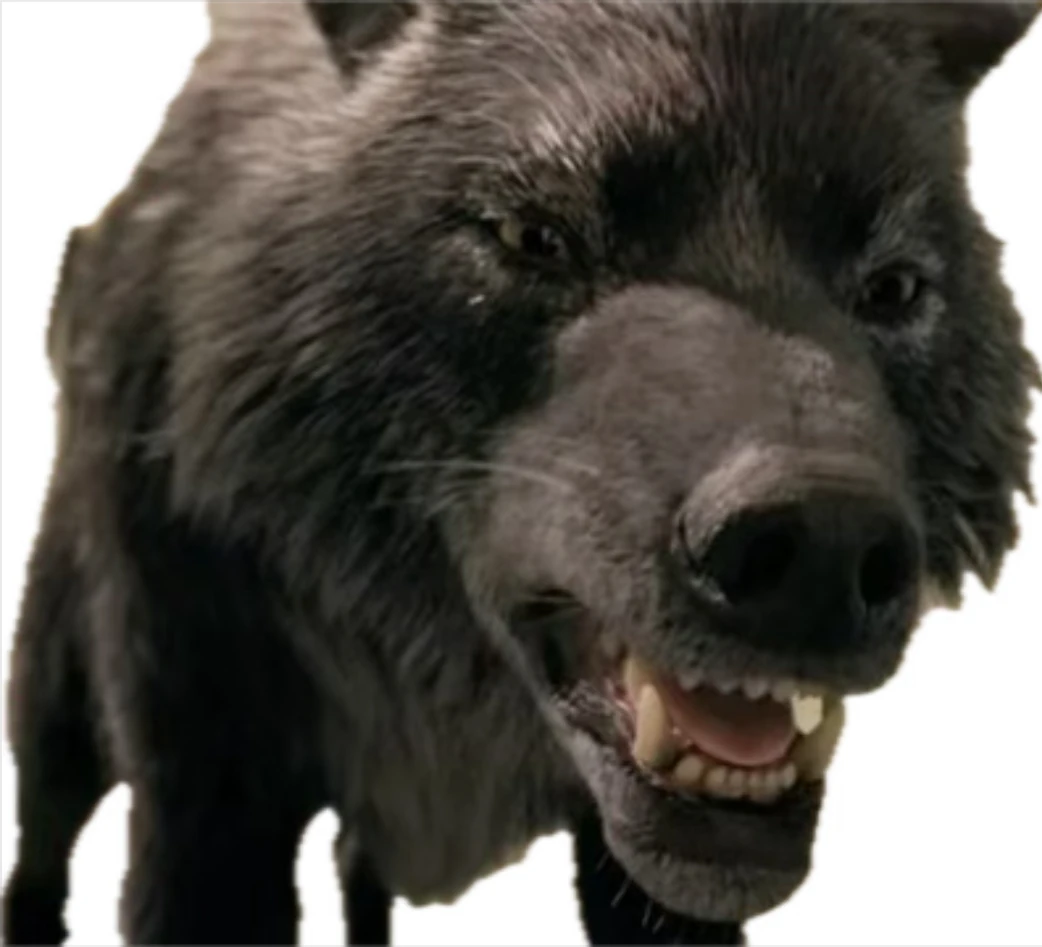 Dire Wolf | DinoPedia - The Dino Dan Wiki | Fandom