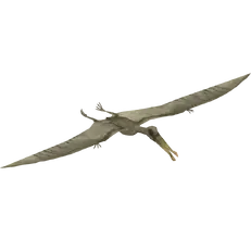 Ornithocheirus | DinoPedia - The Dino Dan Wiki | Fandom