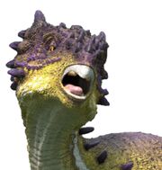 Dracorex | DinoPedia - The Dino Dan Wiki | Fandom