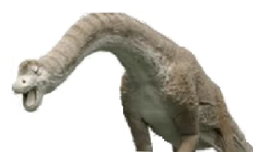 Bellusaurus | DinoPedia - The Dino Dan Wiki | Fandom