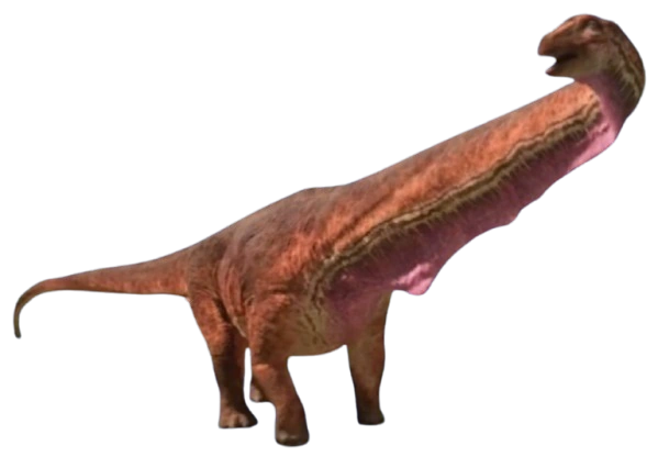 Dreadnoughtus | DinoPedia - The Dino Dan Wiki | Fandom