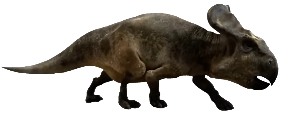 Protoceratops | DinoPedia - The Dino Dan Wiki | Fandom