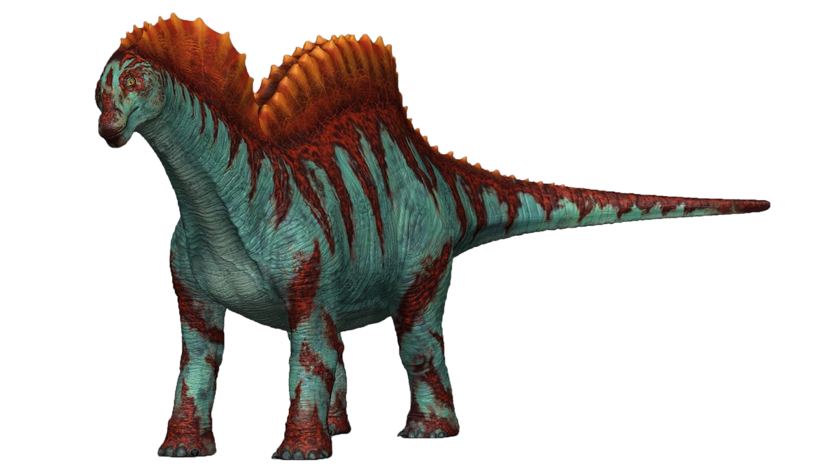 Amargasaurio | Wiki Dino Dan | Fandom