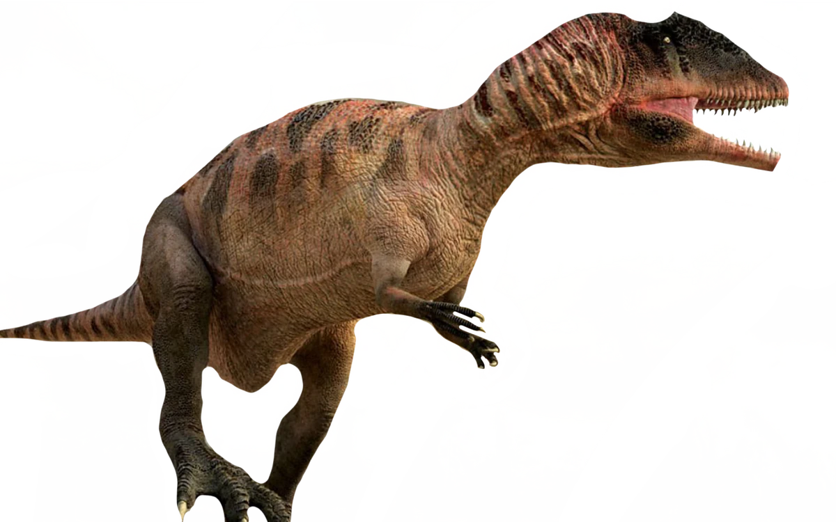 Carcharodontosaurus | DinoPedia - The Dino Dan Wiki | Fandom