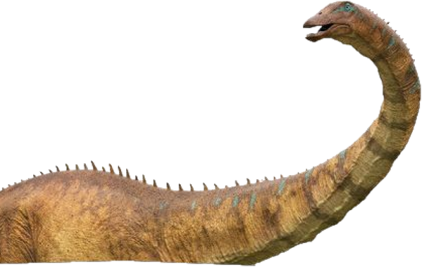 Diplodocus | DinoPedia - The Dino Dan Wiki | Fandom