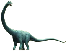 Seismosaurus | DinoPedia - The Dino Dan Wiki | Fandom