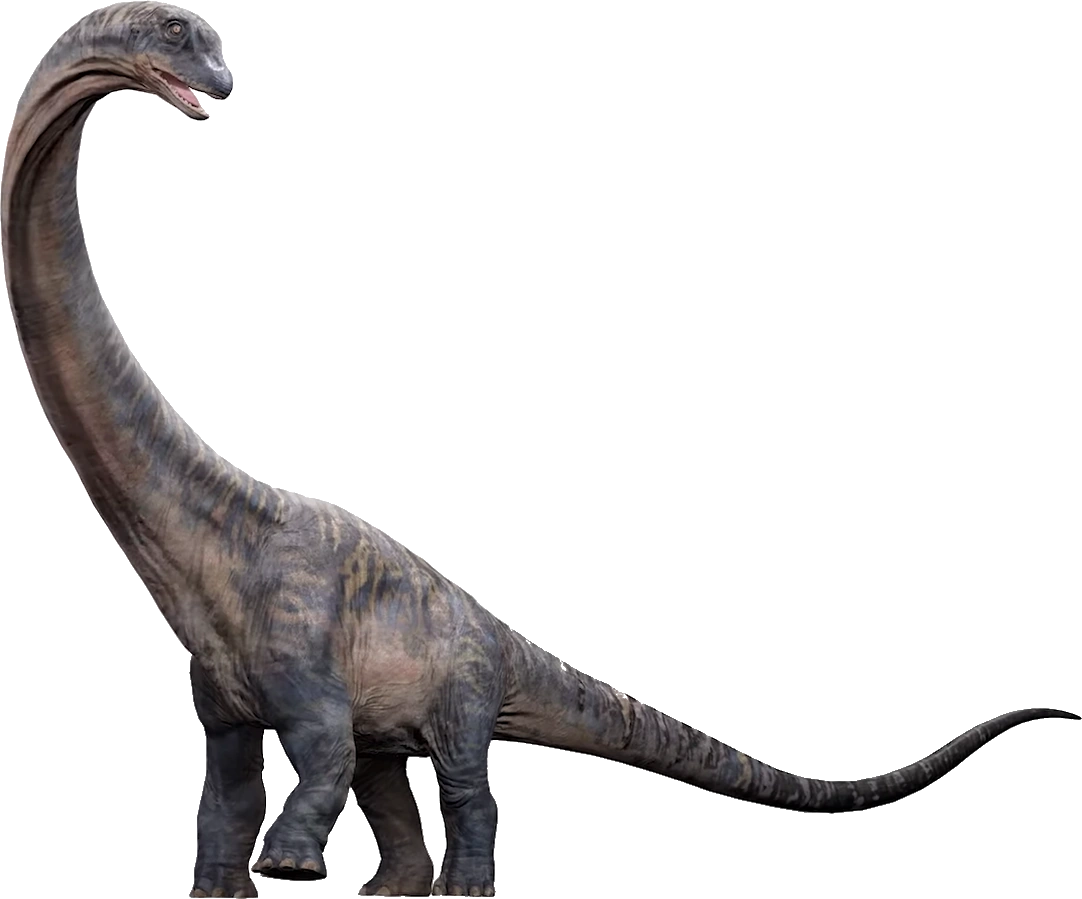Dreadnoughtus | DinoPedia - The Dino Dan Wiki | Fandom