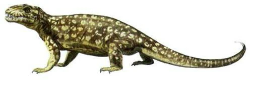 Phthinosuchus | DinoPedia - The Dino Dan Wiki | Fandom