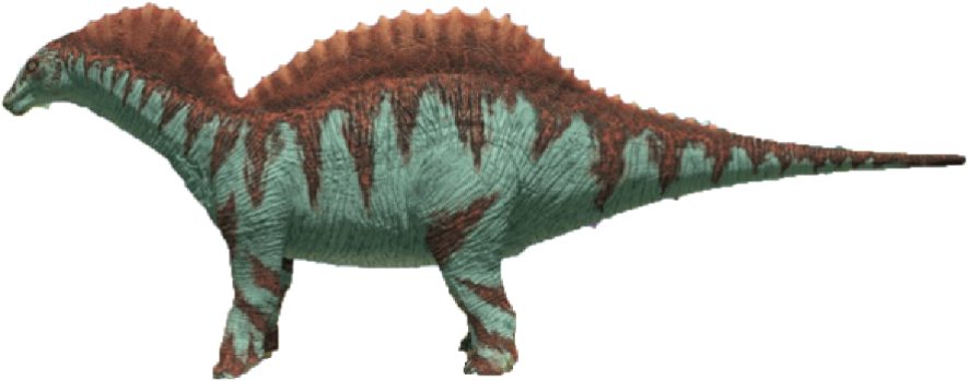 Amargasaurus | DinoPedia - The Dino Dan Wiki | Fandom
