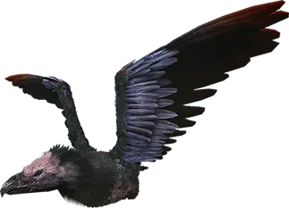 Argentavis | DinoPedia - The Dino Dan Wiki | Fandom