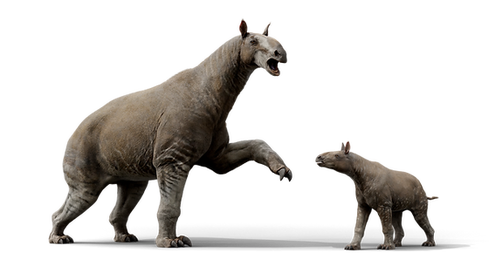 Moropus | DinoPedia - The Dino Dan Wiki | Fandom