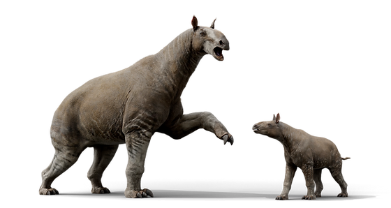 Moropus | DinoPedia - The Dino Dan Wiki | Fandom