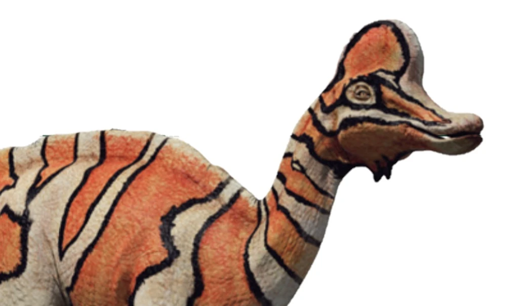 Corythosaurus | DinoPedia - The Dino Dan Wiki | Fandom